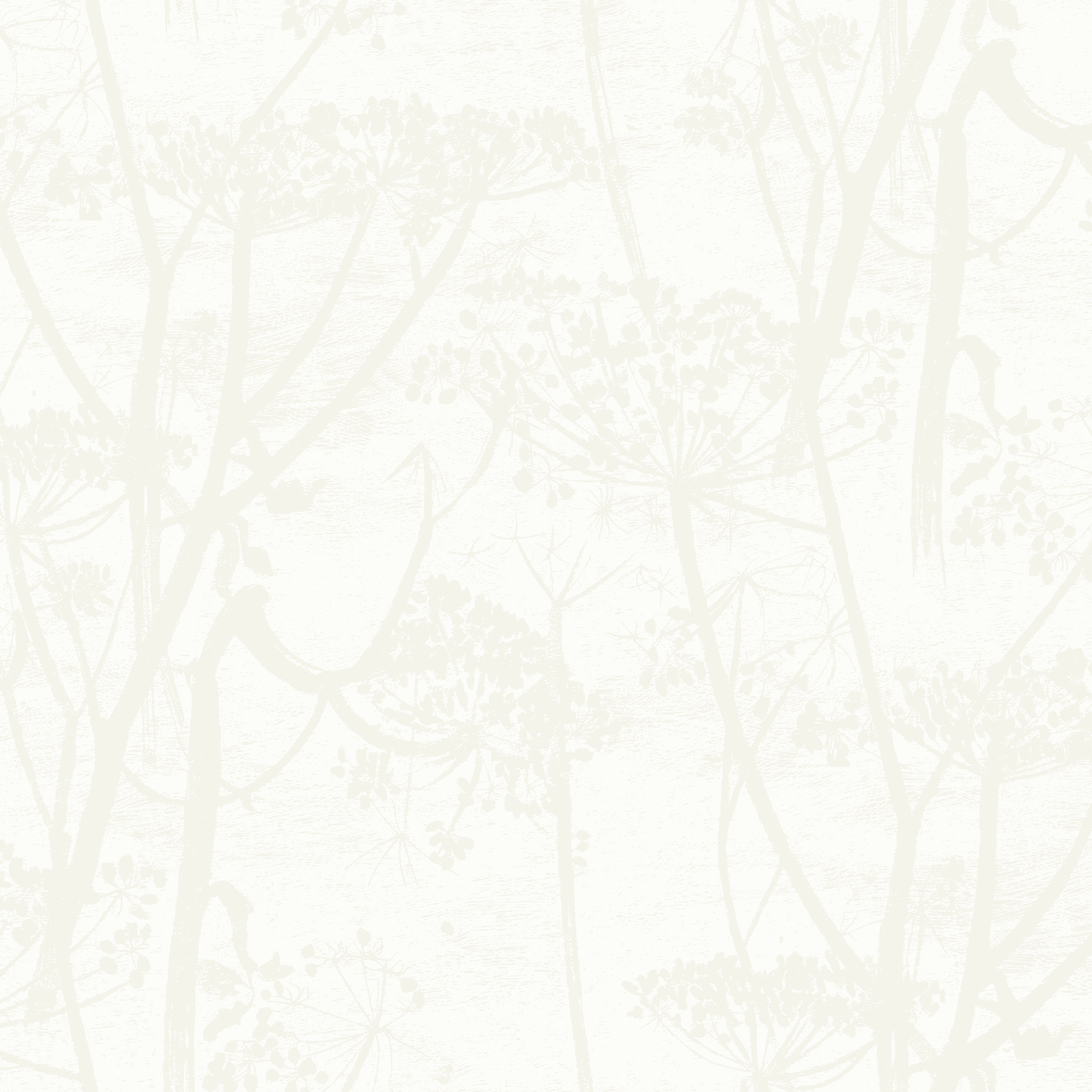 Cole & Son Cow Parsley Wallpaper 95/9052 - norfolktextiles.co.uk