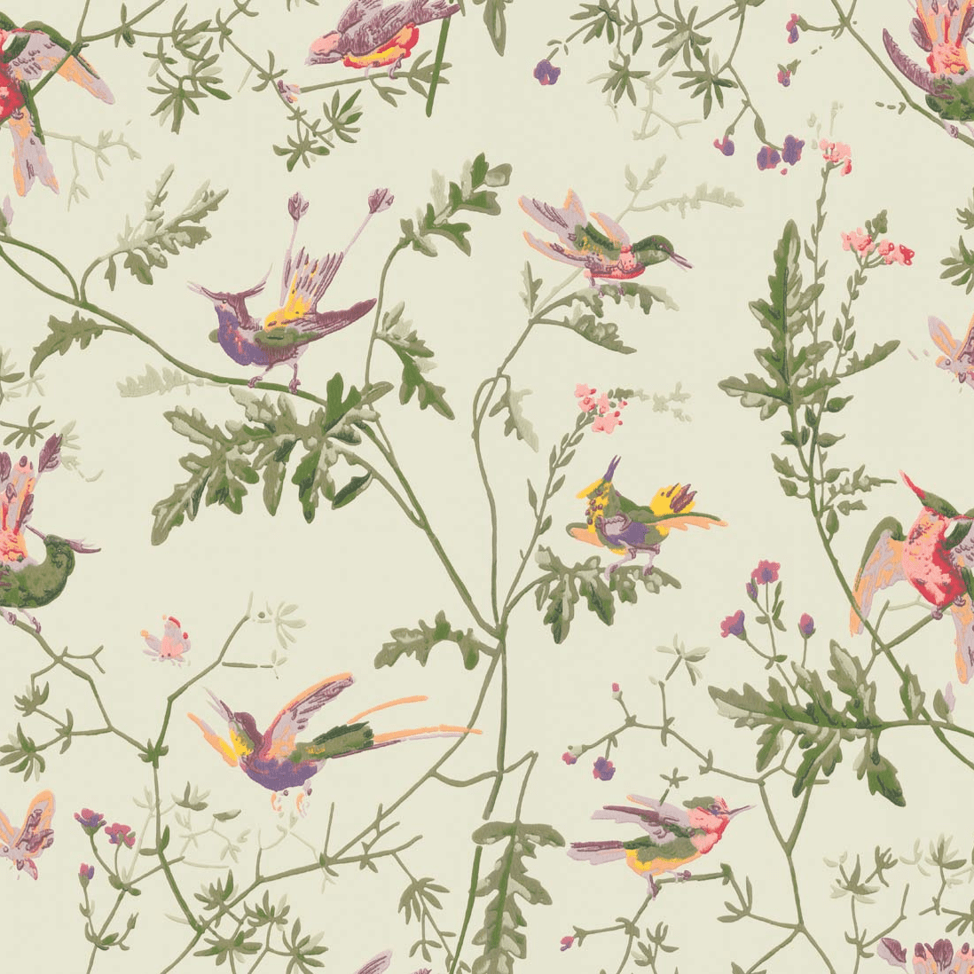 Cole & Son Hummingbirds Wallpaper 100/14070 - norfolktextiles.co.uk