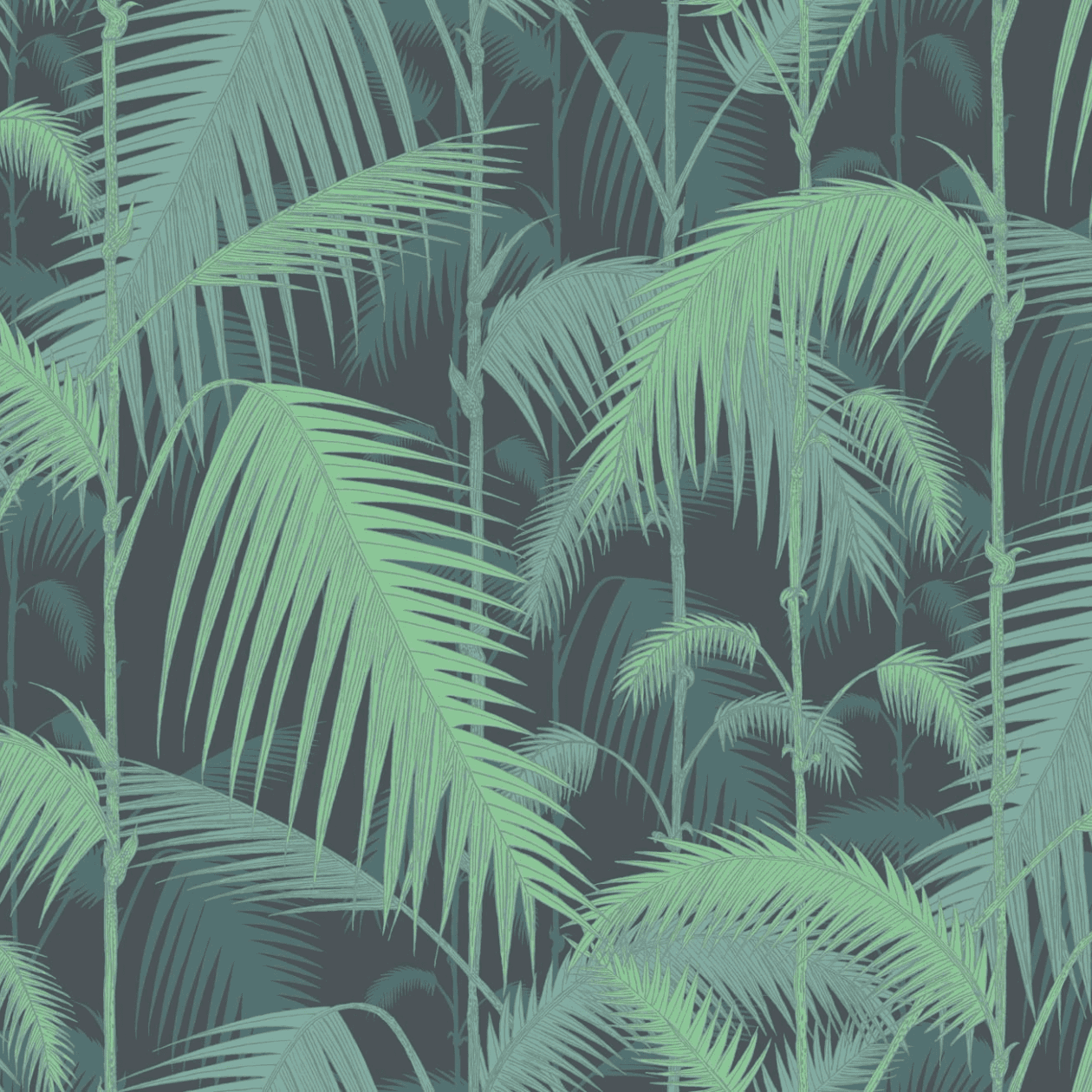 Cole & Son Palm Jungle Wallpaper 95/1003 - norfolktextiles.co.uk