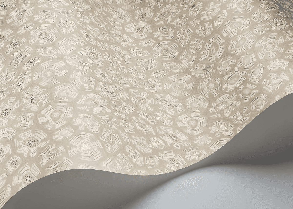 Cole & Son Savanna Shell Wallpaper 119/4021 - norfolktextiles.co.uk