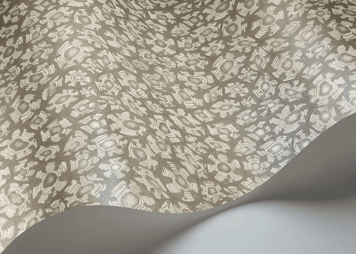 Cole & Son Savanna Shell Wallpaper 119/4022 - norfolktextiles.co.uk
