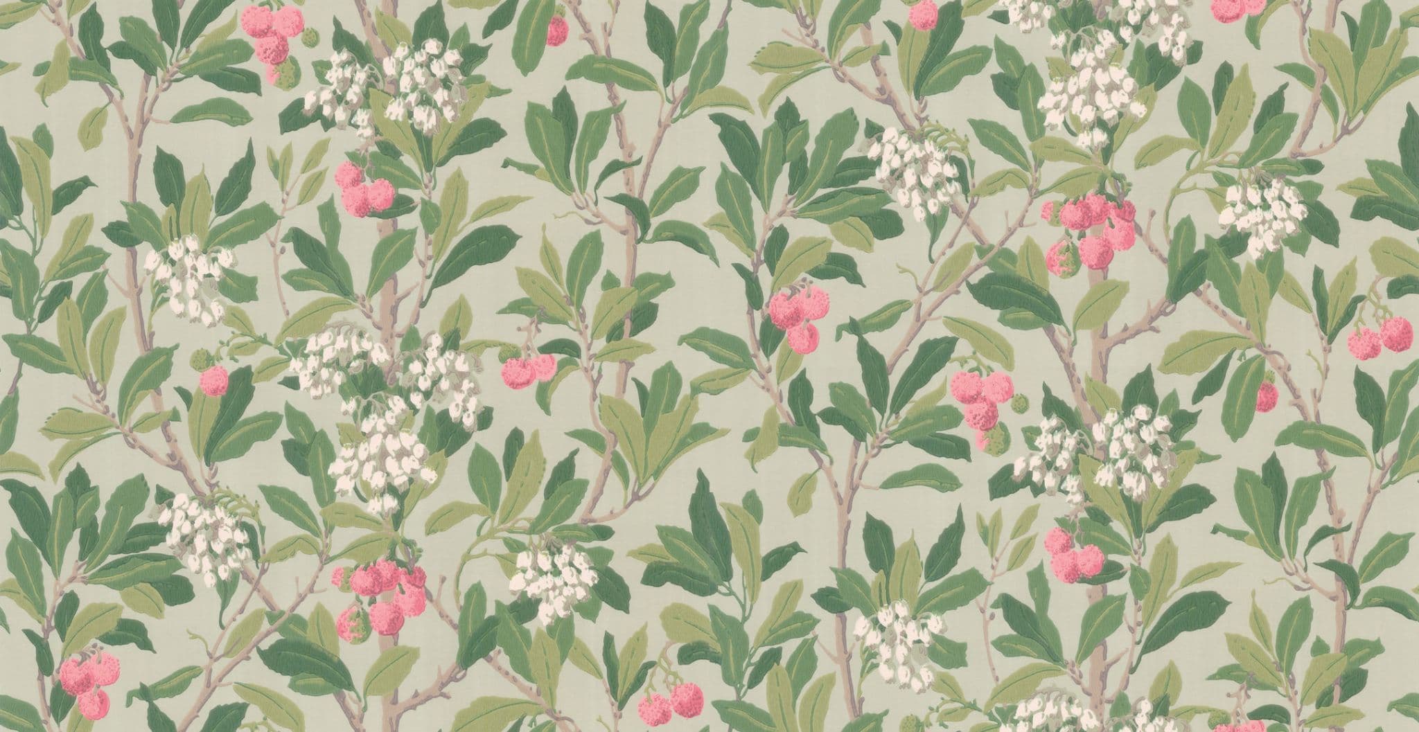 Strawberry Tree Wallpapers